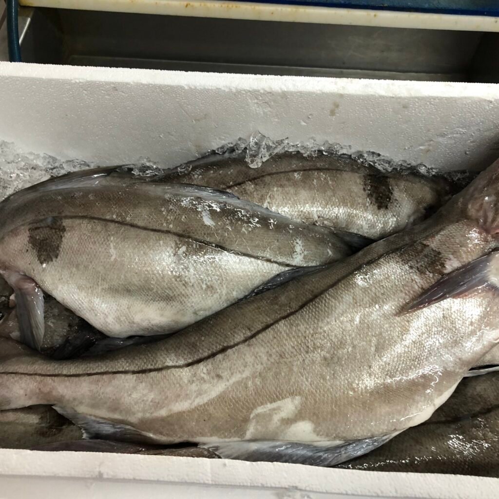 Haddock whole & Gutted - Home Of seafood